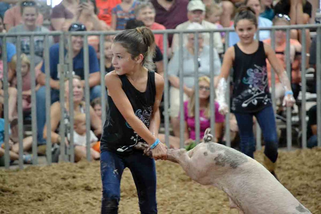 Washington County Fair attendees hoof it to greased pig contest | News ...